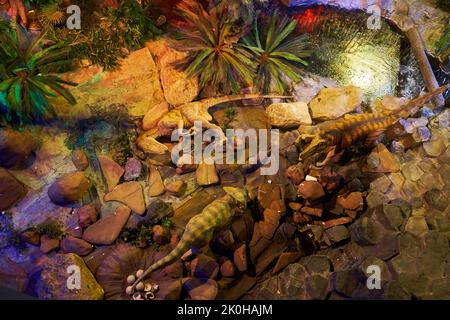 Interior museum of jurassic park with robotic dinosaurs. Kuala Lumpur ...