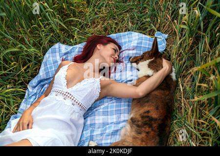 From above friendly woman caressing purebred dog while looking at each ...