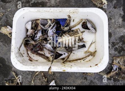 Box of bones and rotten fish, food and organic waste Stock Photo - Alamy