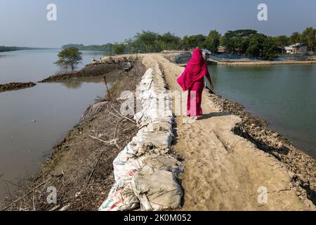 Dikes damaged by the rise in sea level near Shyamnagar. The people in ...