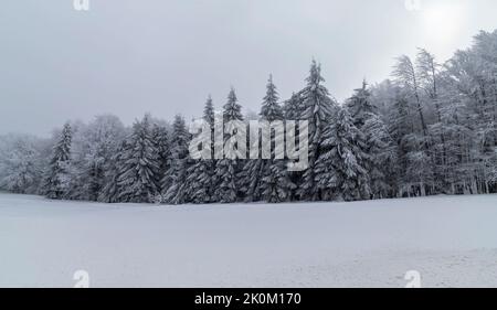 Trees on snowy mountain against sky Stock Photo - Alamy