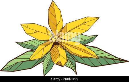 Colored hand drawind geometrical blossoming flower, Ylang-Ilang bud ...
