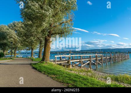 Lakeside Allensbach on Lake Constance summer vacation Stock Photo - Alamy