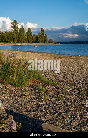Lakeside Allensbach on Lake Constance summer vacation Stock Photo - Alamy