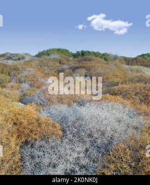 Wilderness by the Mediterranean Sea, Bodrum, Turkey. Wilderness by the ...