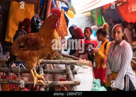 Addis Ababa, Ethiopia. 9th Sep, 2022. A vendor is seen at Shola market ...