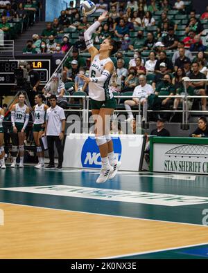 September 4, 2022 - Hawaii outside hitter Annika de Goede (23) awaits ...