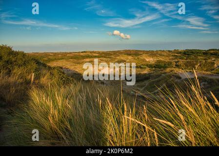 costal landscape in the North of Netherland Stock Photo - Alamy