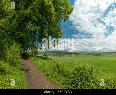 View over rolling hills, Sippenaeken, Limburg, Netherlands, landscape ...