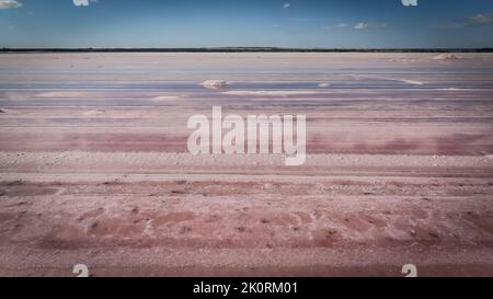 Saline, in patagonia environment, La Pampa Province, Patagonia ...