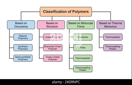 Classification of Polymers. Polymers And its Types. Vector Illustration ...