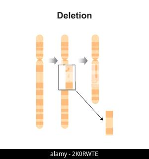 Scientific Designing of Insertion Chromosomal Mutation. Colorful ...