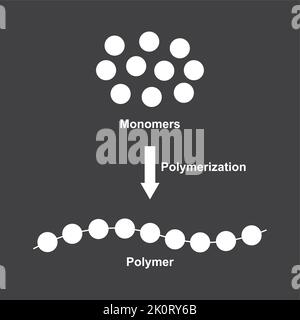 Scientific Designing of Polymerization Reaction. Converting Monomers to ...