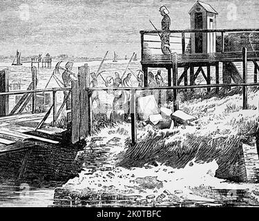 Illustration depicting convicts working on Chatam Basin. Dated 19th ...