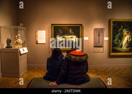 Visitor looking at Henry Fuseli painting The Nightmare, 1781, Detroit ...