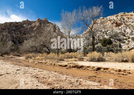 Hackberry Creek flowing out of Hackberry Canyon below smaller cliffs ...