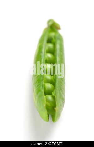 Single pea pod opened on white background cut out Stock Photo - Alamy