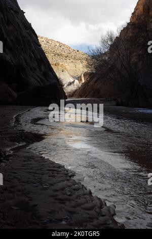 The sandstone cliffs of Hackberry Canyon rising high above the creek ...