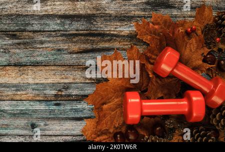 Two red dumbbells on wood slices, Christmas bauble, tree branches ...