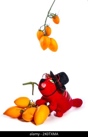 Red cat - soft toy made of felt wool Stock Photo - Alamy