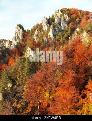 Evening autumnal red colored view from Sulov rockies - sulovske skaly ...