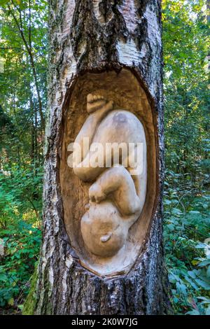Carved baby fetus, tree trunk, KeskuspuistoVoima ja herkkyys by Sanna ...