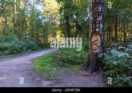 Carved baby fetus, tree trunk, KeskuspuistoVoima ja herkkyys by Sanna ...