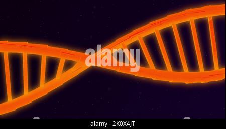 Image of orange glowing 3D double helix DNA strand spinning on black ...