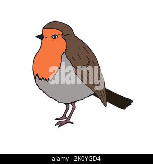 Vector hand drawn robin redbreast bird silhouette isolated on white ...
