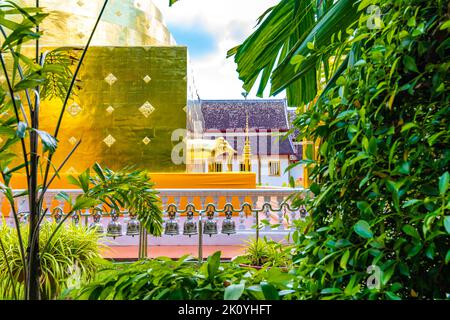 Golden statue of elephant placed on Wat Phra Singh temple in Chiang Mai ...