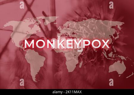 Monkeypox new disease dangerous over the world. Patient with Monkey Pox ...