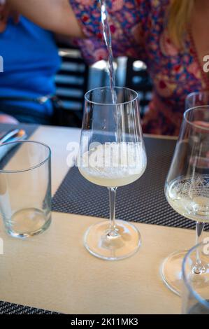 Txakoli or chacolí slightly sparkling very dry white wine produced in ...