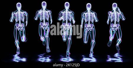 skeleton system of running man, bone Anatomy while run, human physical ...