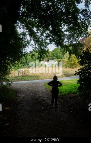 Shotesham, Norfolk,Boudicca way path Stock Photo - Alamy