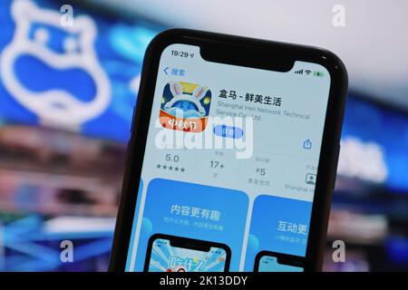 YICHANG, CHINA - SEPTEMBER 15, 2022 - A mobile phone displays the Hema ...