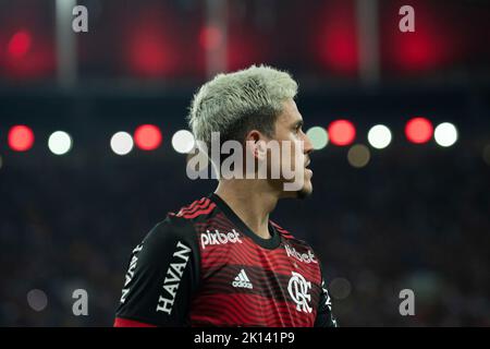 Rio, Brazil - September 14, 2022: Mascot Urubaldo player in match ...