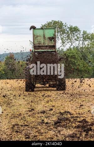 Modern agriculture. Muck spreading prior to ploughing Stock Photo - Alamy