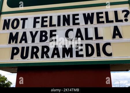 outdoor sign for Rio Bravo Veterinary Hospital, Albuquerque, New Mexico ...