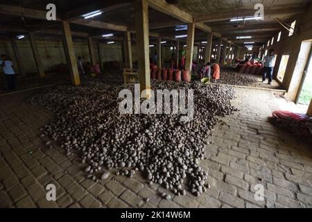 Potato drying and segregation area of a cold storage. West Bengal ...