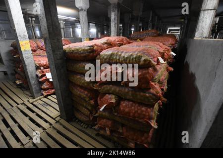 Potatoes are preserved in a refrigerated area of a potato cold storage ...