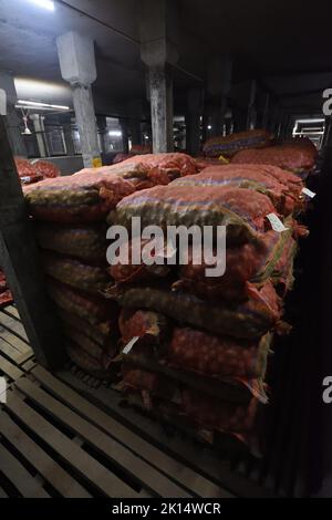 Potatoes are preserved in a refrigerated area of a potato cold storage ...
