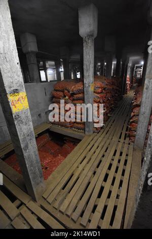 Potatoes are preserved in a refrigerated area of a potato cold storage ...
