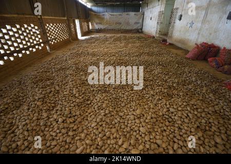 Cold storage of potato. West Bengal, India Stock Photo - Alamy