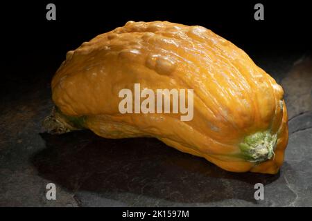 Small and fat yellow squash on a brown stone surface Stock Photo - Alamy