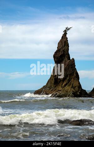 Jagged Sea Stack on a Coastal Beach at Pfeiffer Big Sur State Park in ...