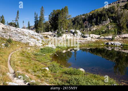 The Alaska Basin Trail descending through high alpine trees toward the ...