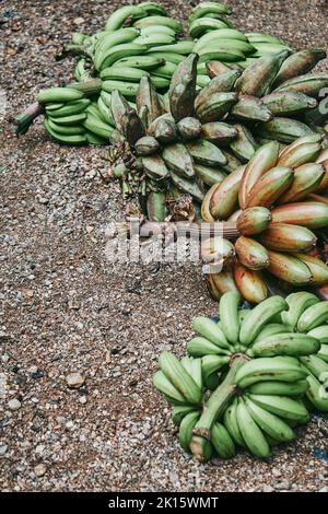 The fresh ecological yellow bananas Stock Photo - Alamy