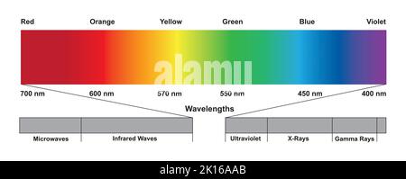 Scientific Designing of Electromagnetic Waves Spectrum. The Light ...