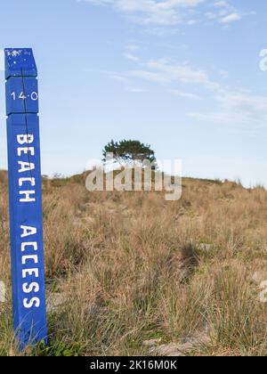 Blue beach access post in sand dunes. of Papamoa Stock Photo - Alamy
