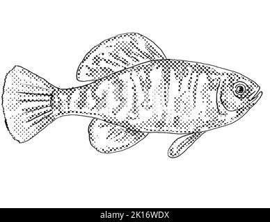 Cartoon style line drawing of a pygmy smelt or Osmerus spectrum a ...